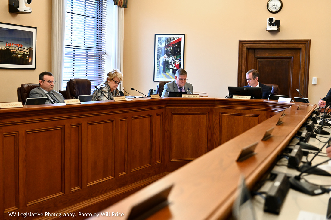 Senate Finance Committee takes up gutted foster care bill | News ...